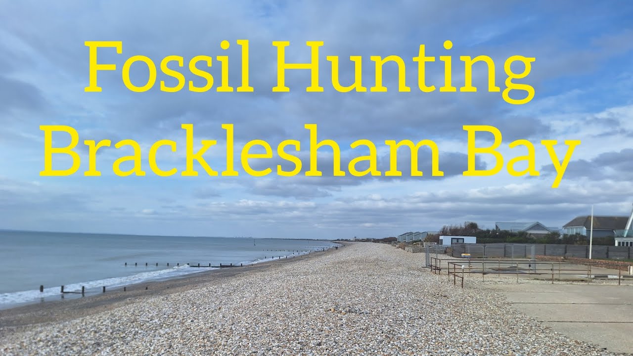 Fossils Hunting At Bracklesham Bay - YouTube