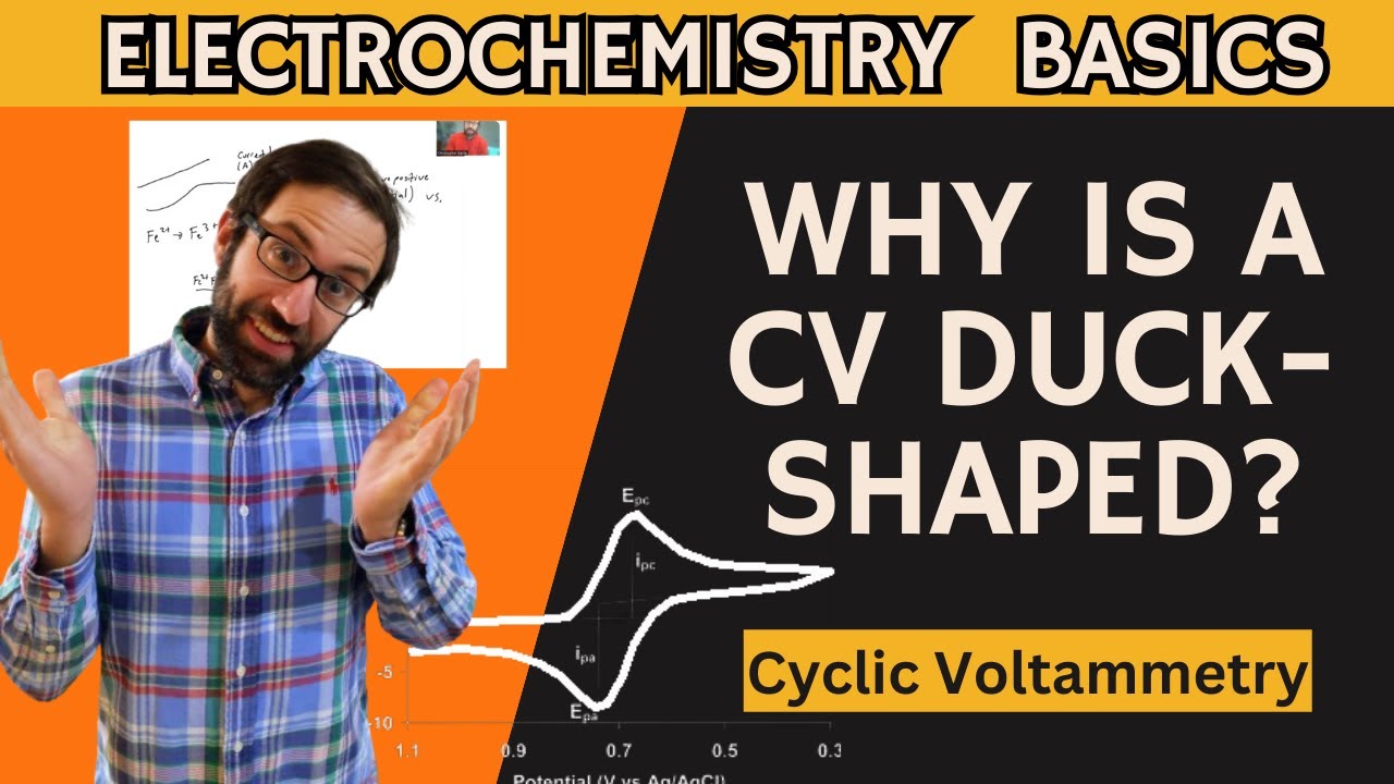Why is a cyclic voltammetry duck-shaped? Why is there a CV peak and not ...