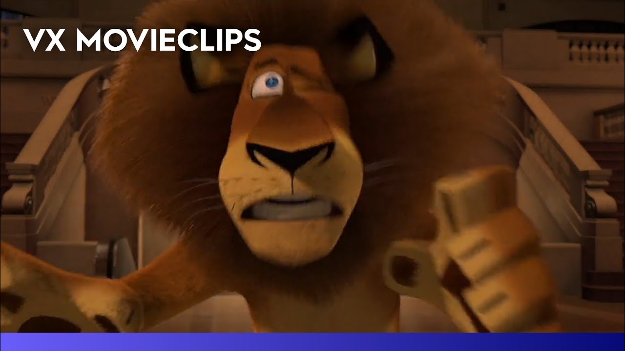 Madagascar (2005) - You're A Bad Kitty | VX Movieclips - YouTube