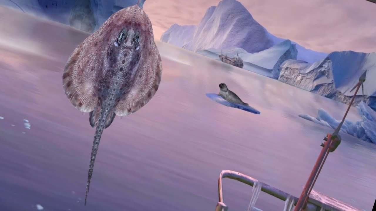 New Fish: Round Ray! Fishing Clash Gameplay Ep321 - YouTube