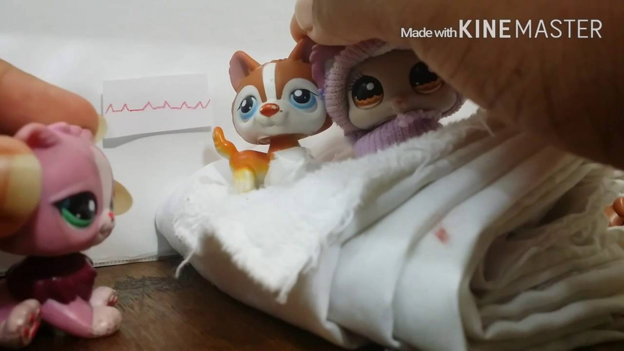 Lps Keeping Up With The Love Triangle S1E4 [oh boy] - YouTube