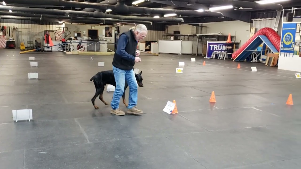 Rally Novice Course 1 - YouTube