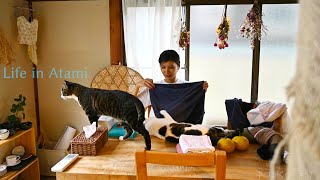 ネコがくる Life in Atamiの最新動画｜YouTubeランキング