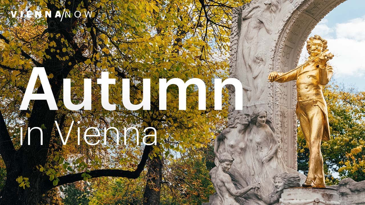 5 Reasons to Visit Vienna in Autumn - YouTube