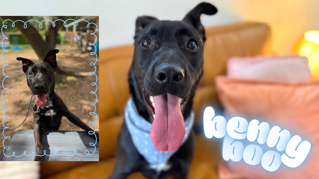 Benny Boo is ready for you!!! - YouTube