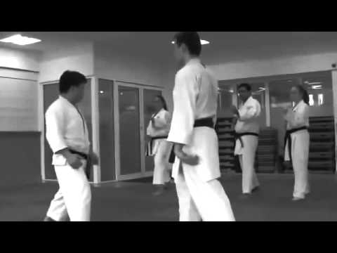 Kizami Tsuki / Kizami Zuki ( Jab ) - by Ken D Kundaya