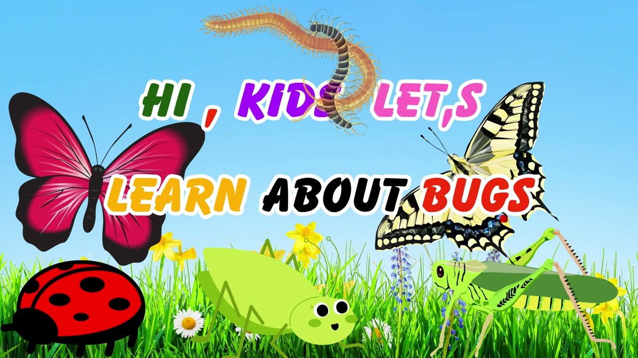 Bugs Names for Kids | 20 Types of Insects for Children | Kids ...