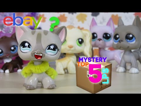 MAIN 5 LPS MYSTERY eBay PACKAGE! | LpsQueen.com - YouTube