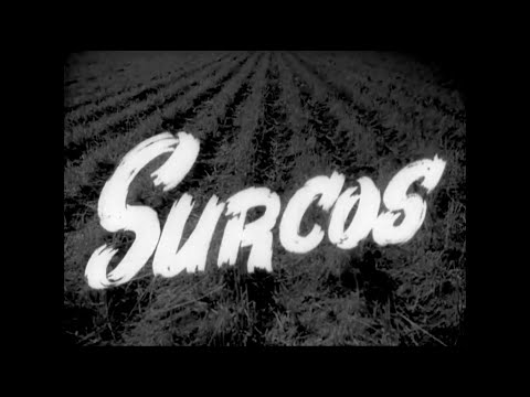 CINE ESPAÑOL - SURCOS (1951) - YouTube