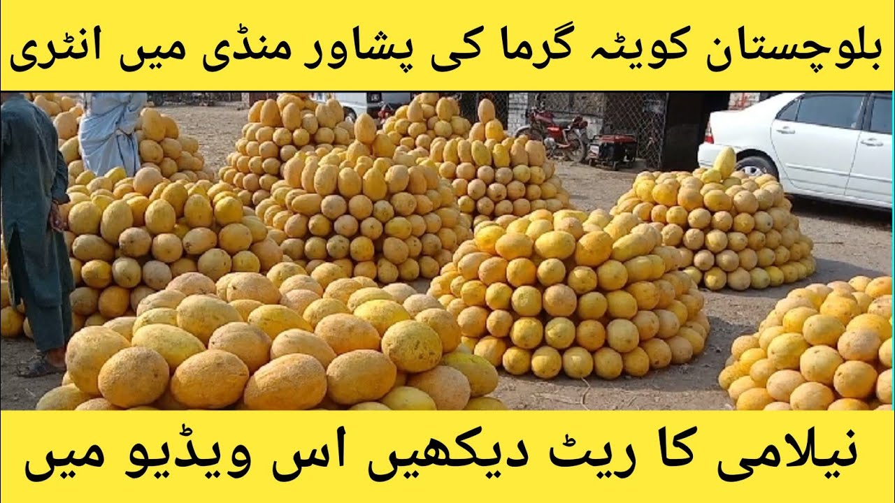 Balochistan garmy ke nelami || Quetta Ka garma || fresh fruit rate ...
