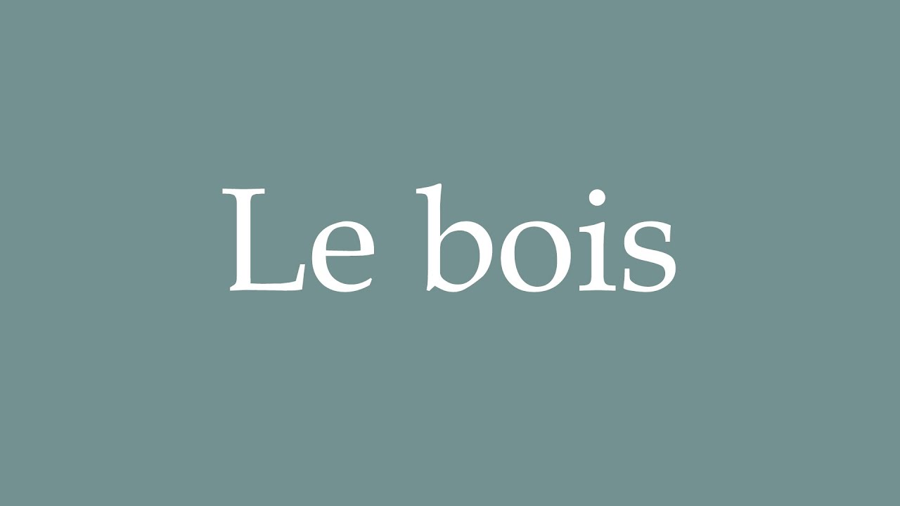 How to Pronounce ''Le bois'' (Wood) Correctly in French - YouTube