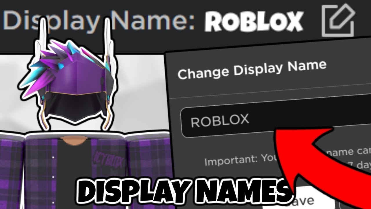 ROBLOX DISPLAY NAMES ARE OUT IN THE US! (How To Use Display Names ...