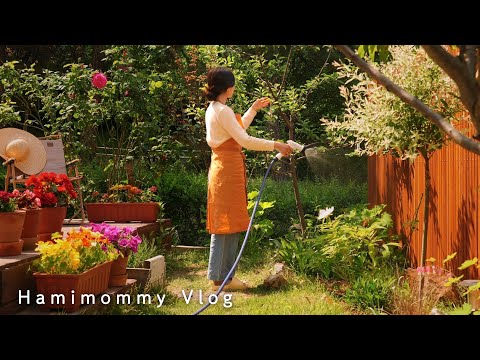 SUB) 정원의 휴식이 있는 주택 일상ㅣ단정한 주방 청소ㅣ바나나팬케이크, 오렌지샐러드, 낫토덮밥, 동남아 요리ㅣ풀멍 🌱ㅣ Hamimommy Vlog