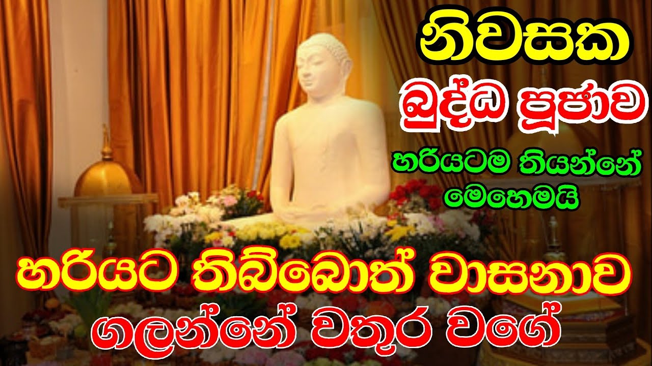 නිවරදිව බුද්ධ පූජාව තිබ්බොත් දියුණුව ගලන්නේ වතුර වගේ මේ වීඩියෝ එක බලන්න ...