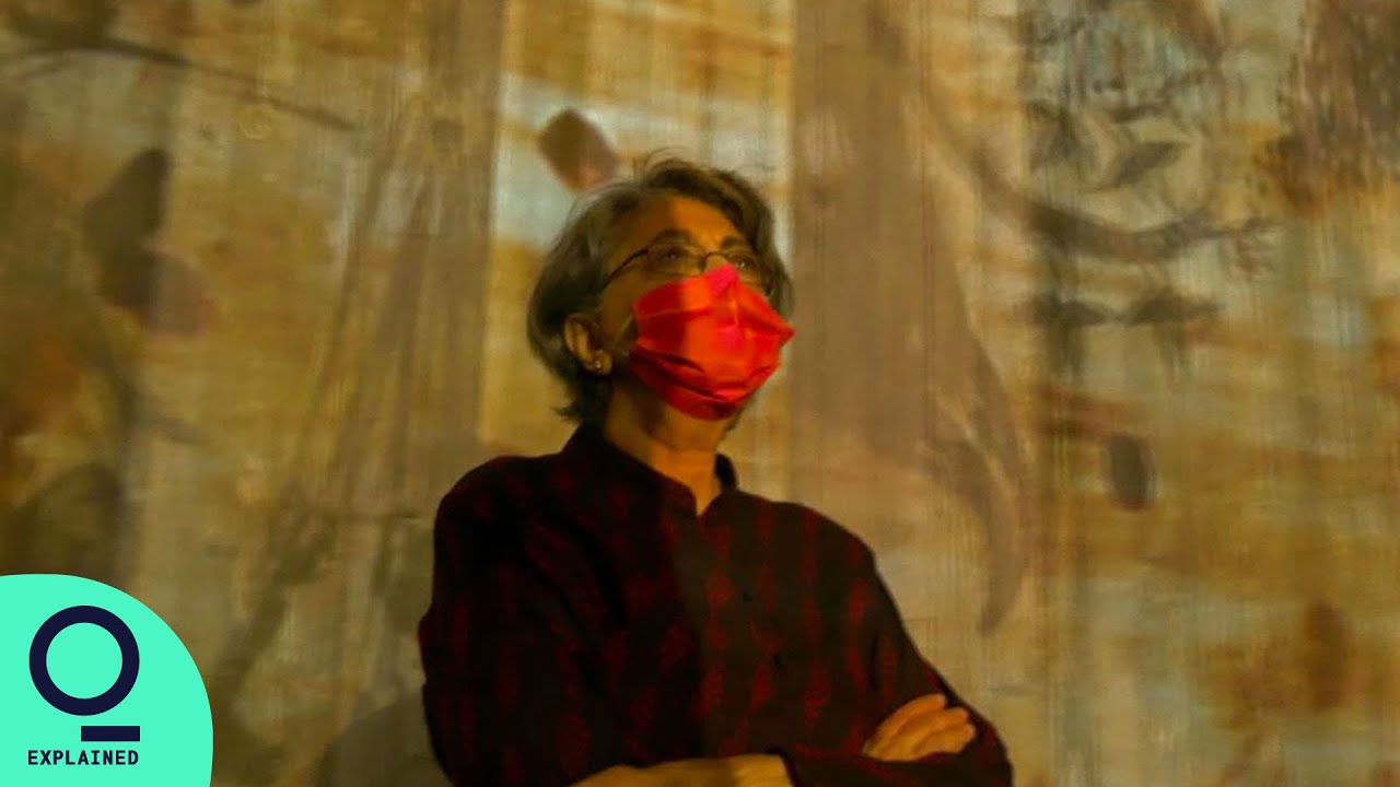 Meet One of India’s Pioneers of Video Art: Nalini Malani - YouTube
