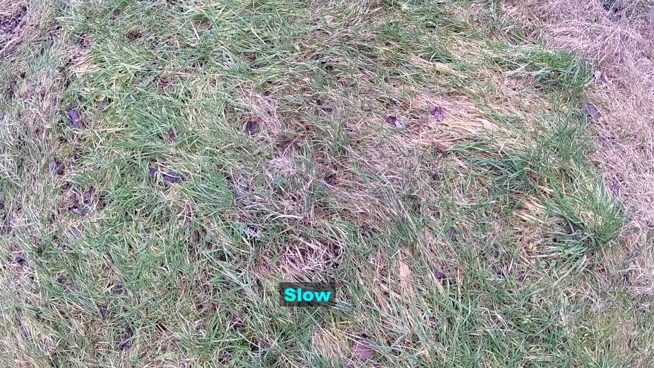 Stamping On The Ground Grass - YouTube