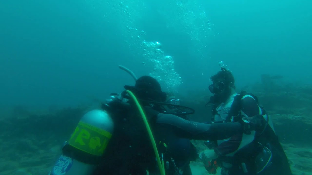 Katie and Joey Open Water Tng - YouTube