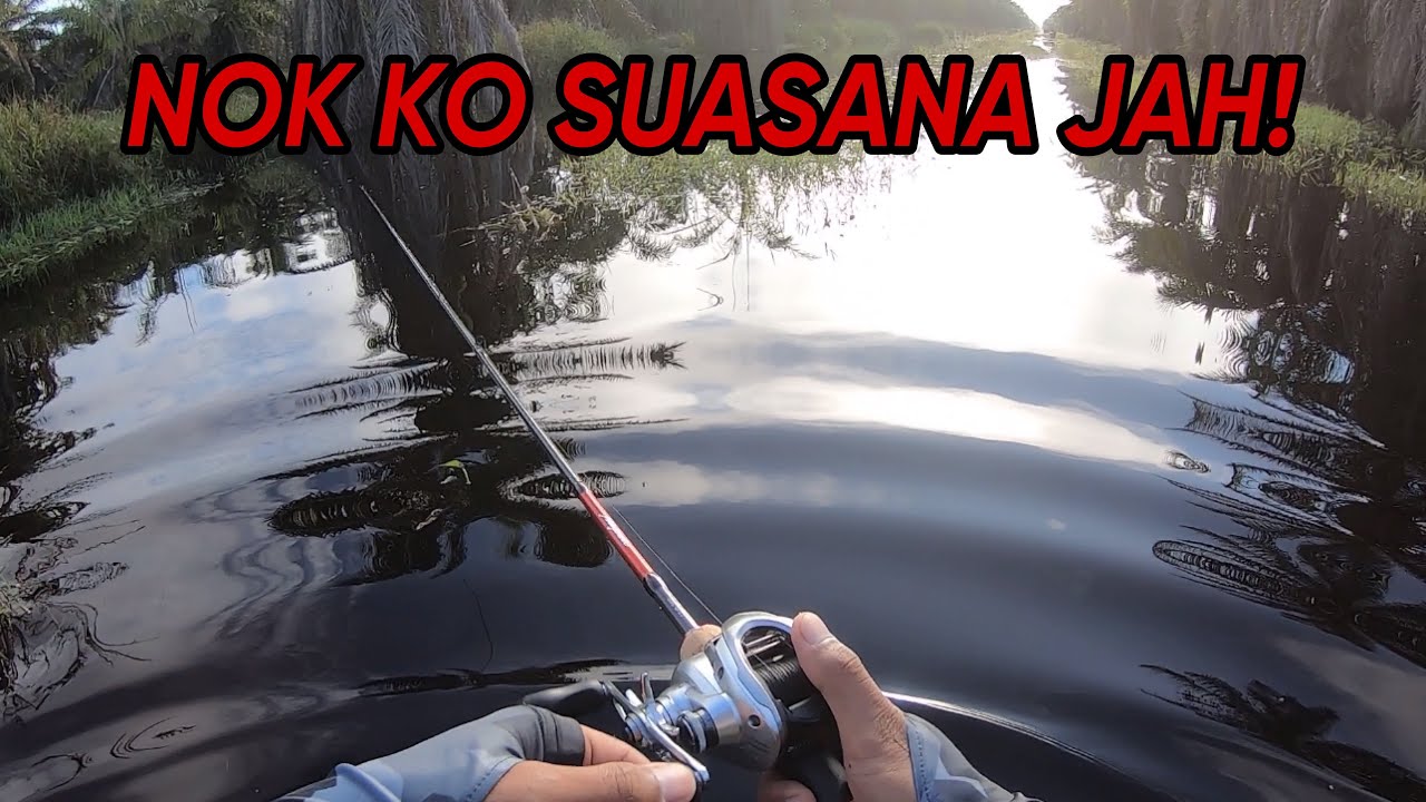 TEST JORAN BC SHIMANO MAJESTIC B68L-BFS/2 6-12LB #MZ34 - YouTube