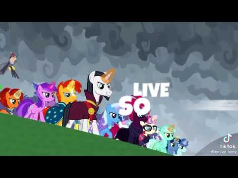 tiktok pony