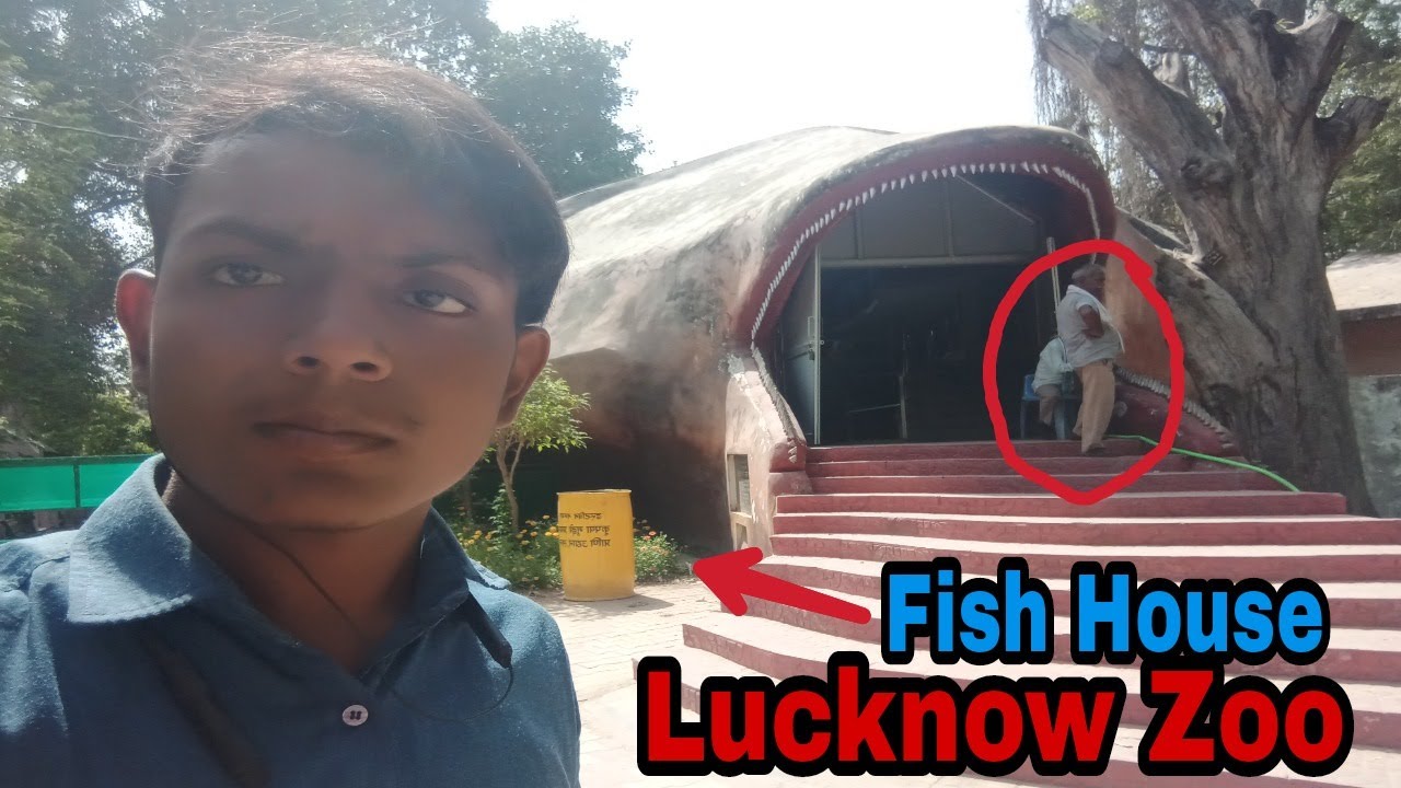 Lucknow Zoo | Fish House | मछली घर लखनऊ चिड़ियाघर | Raj Rails | Utter ...