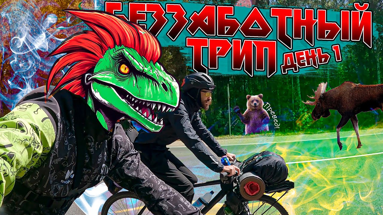 Встретили МЕДВЕДЯ и ЛОСЯ | Велопоход по Псковской области совместно с ...