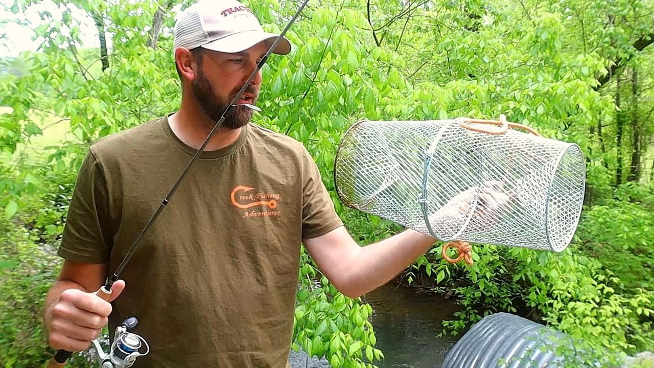 Minnow Trap VS Micro Ultralight Fishing - YouTube