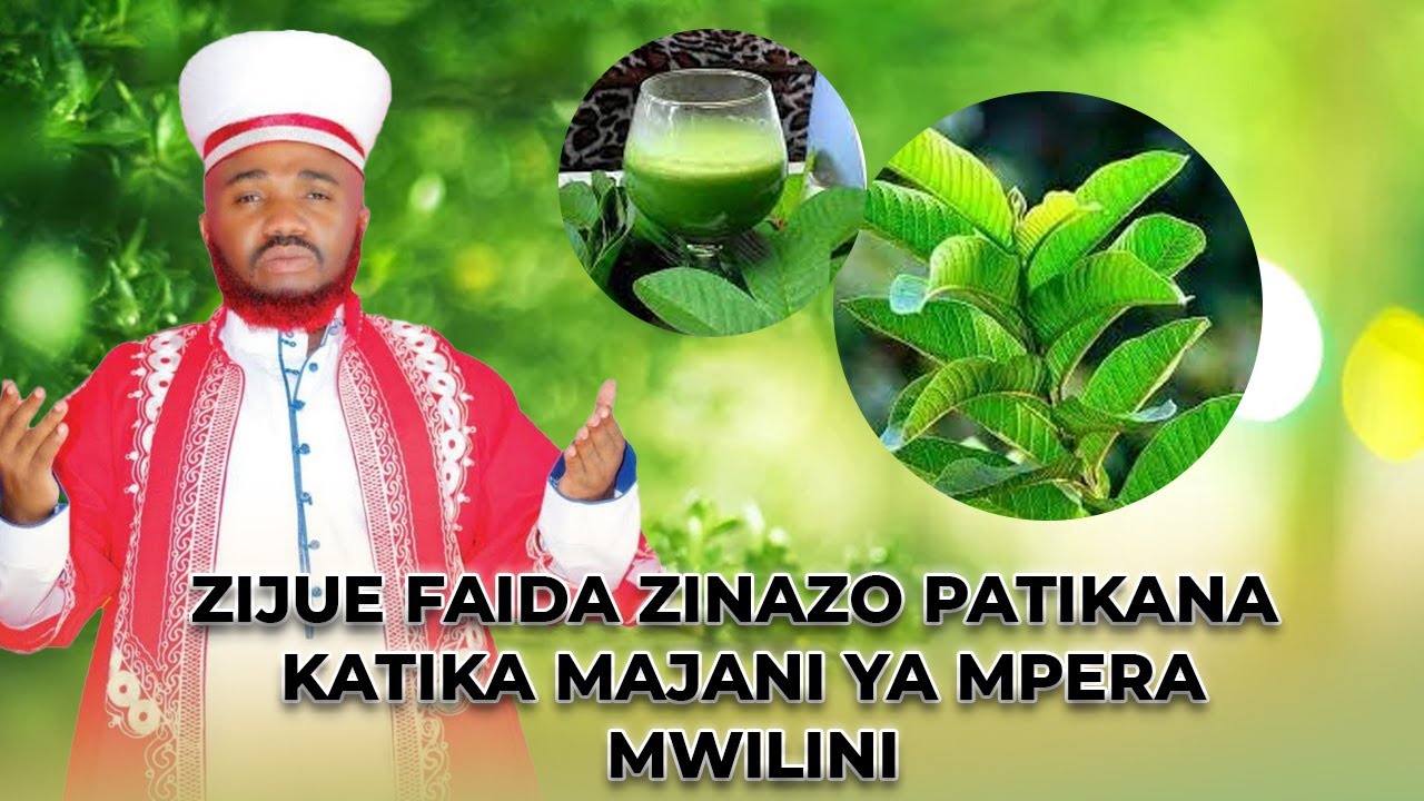 ZIJUE FAIDA ZINAZO PATIKANA KATIKA MAJANI YA MPERA MWILINI"SHEIKH ...