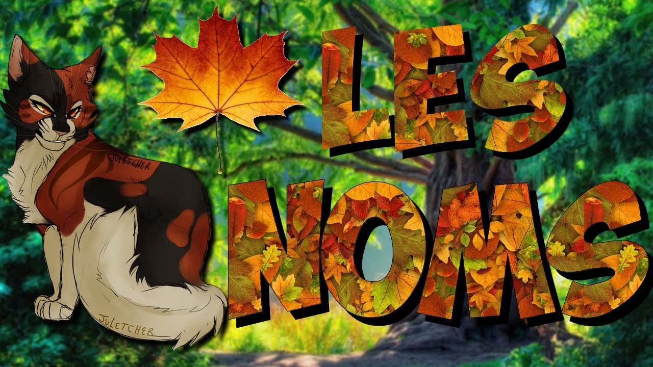 Les MEILLEURS NOMS de LGDC ! (Développements de Personnages, Univers et ...