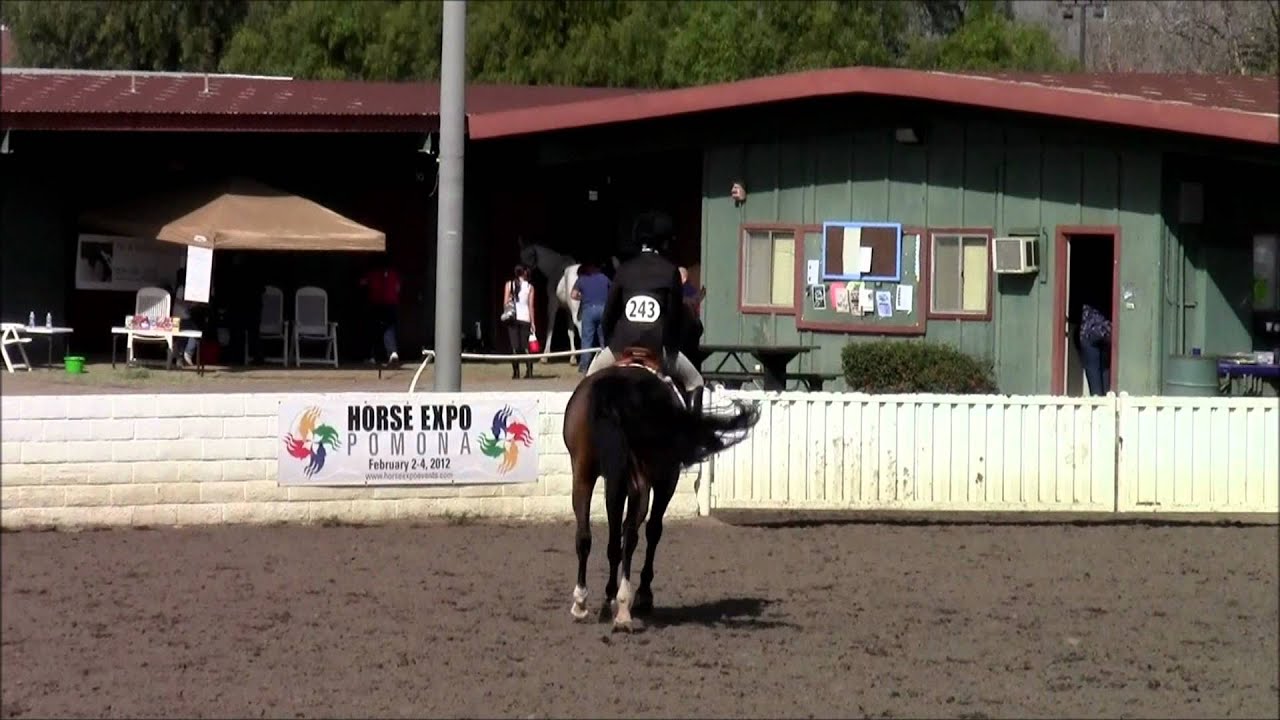 Sammy & Rico Pomona Show Jan 29 2012 - YouTube