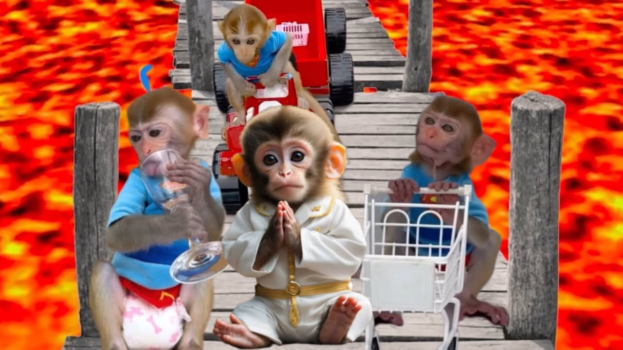 Kids Roy monkey cooking kids video and amazing kids entertainment ...