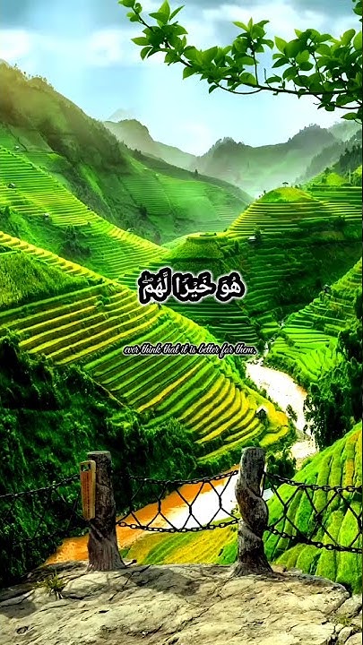 ولا يحسبن الذين يبخلون بما اتاهم الله من فضلة 🌿 Youtube
