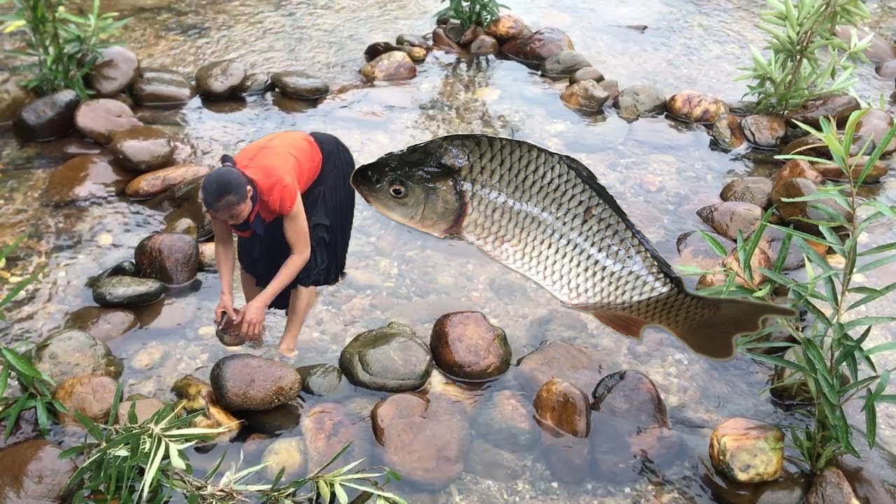 Primitive life - Smart girl Primitive fishing skill - lining up big ...