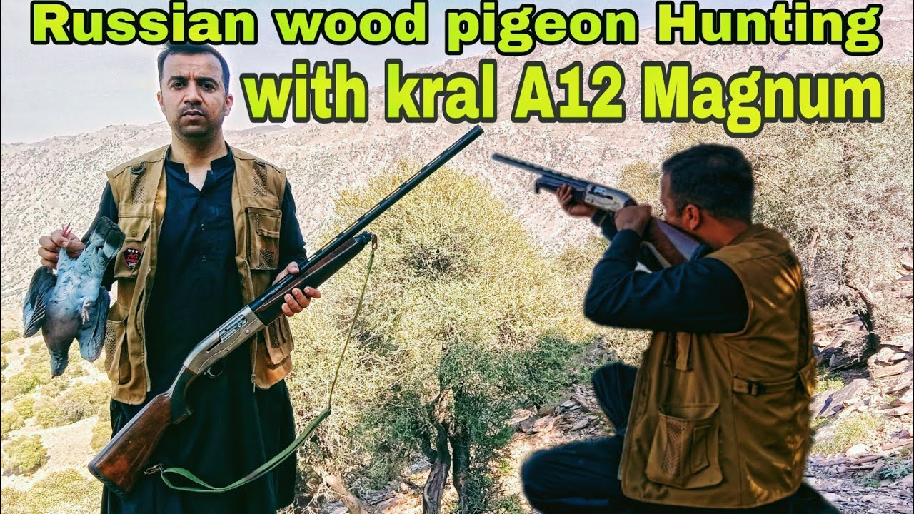Russian wood pigeon Hunting with Kral New gun A12 Magnum silver 2024 ...