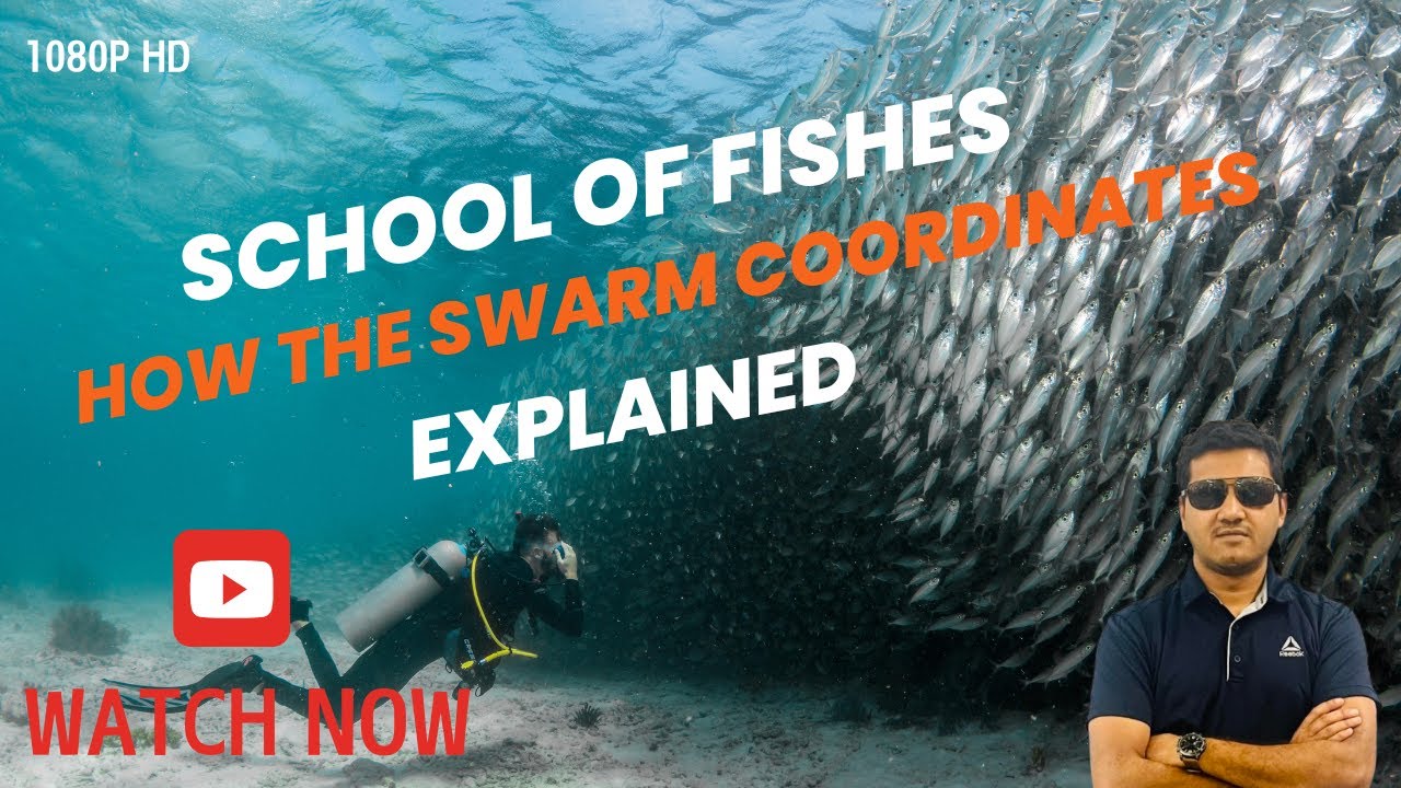 How Fish Schools Move in Perfect Harmony | Predator Avoidance Explained ...