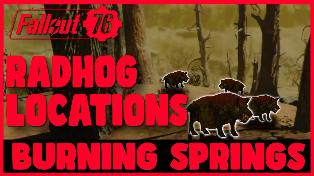Fallout 76: RADHOG FARMING LOCATION Burning Springs - YouTube