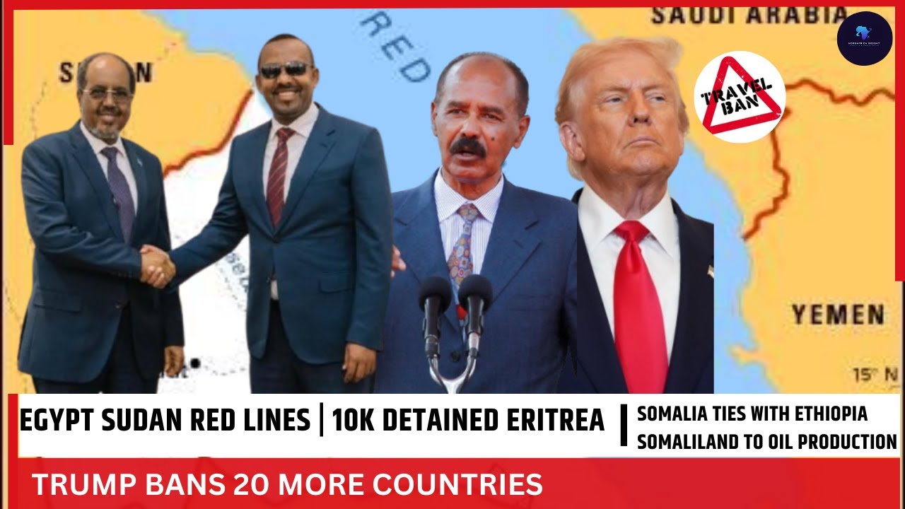 Egypt Declares Sudan Red Lines as War Continues | 10,000 Detained in ...
