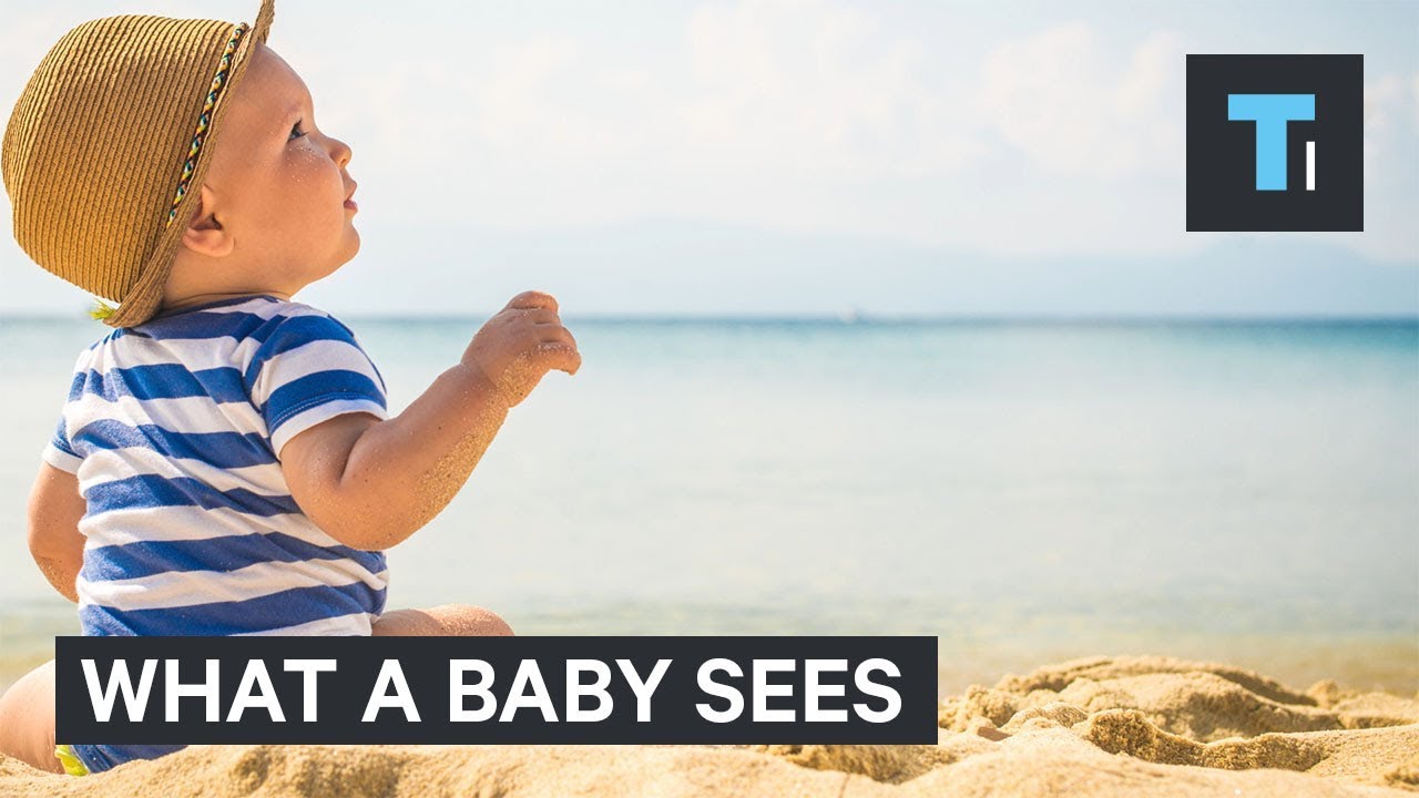 What A Baby Sees During Its First Year YouTube what-a-baby-sees-during-its-first-year-youtube