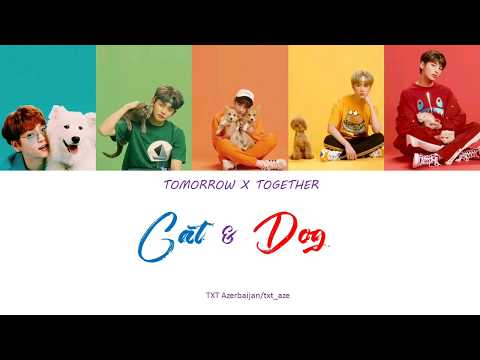 [AZE] TXT- Cat & Dog [Color Coded| Han| Rom| Azerbaijani sub]