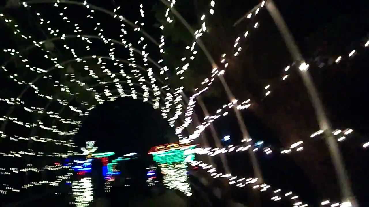 ZooLights at Fresno Chaffee Zoo 2011 (in the style of Gaspar Noé) - YouTube