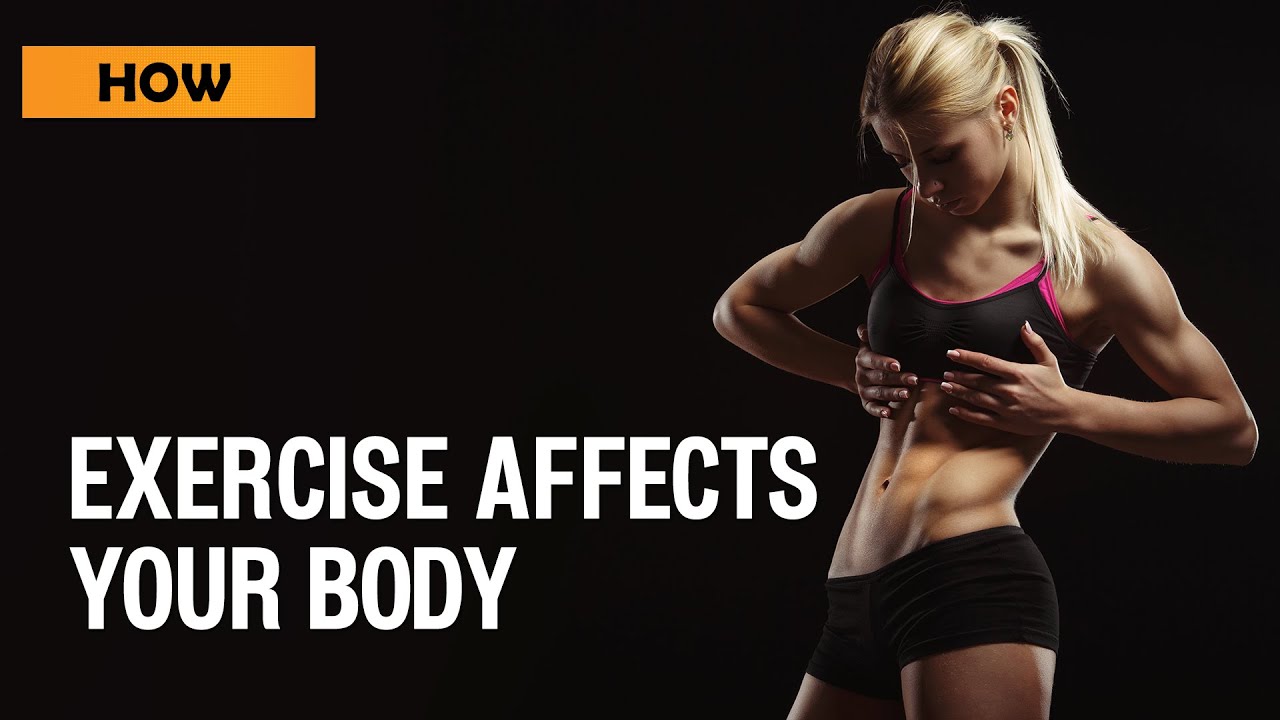 How Exercise Affects your body - YouTube