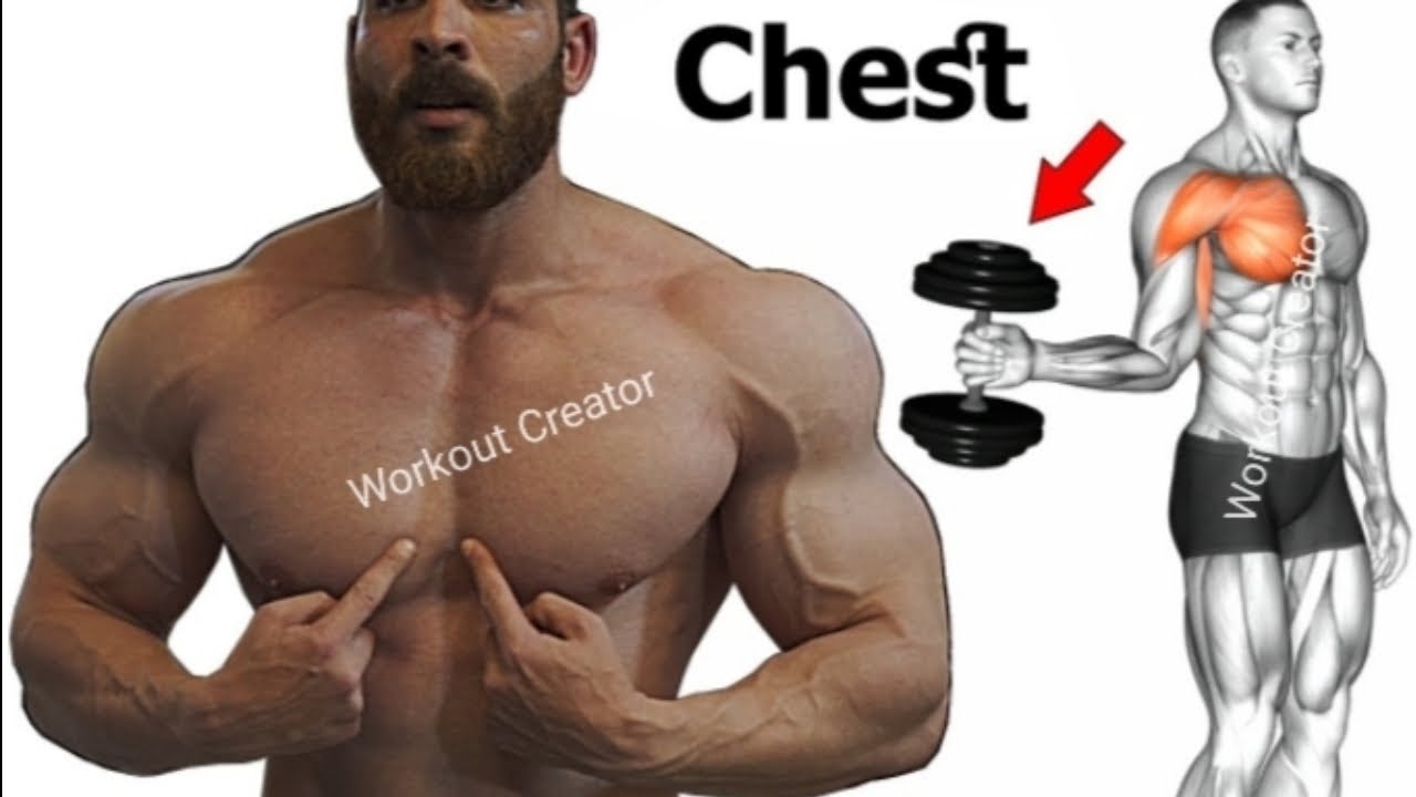 Workout Creator Home And Gym 5 Best Full Chest Muscles Exercises Youtube