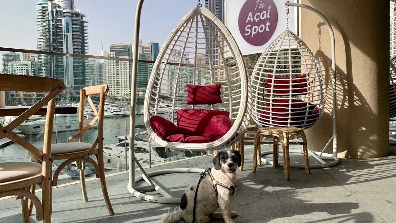 Video 59 - The Acai Spot - YouTube