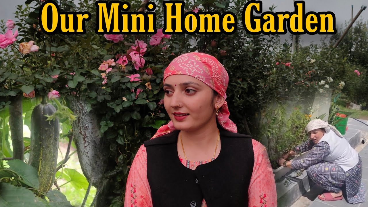 Our Mini Home Garden 🏡 || Our Houseplant Collection || Sheetal_Piyush Vlogs - YouTube