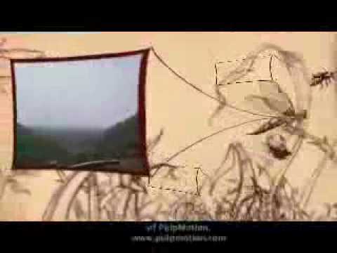 eritrean orthodox tewahdo mezmur "dengel mariam bezawit" - YouTube