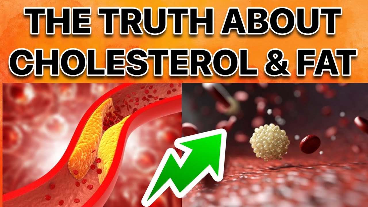 Unmasking the Truth:Debunking Myths about Cholesterol & Fat in Your ...