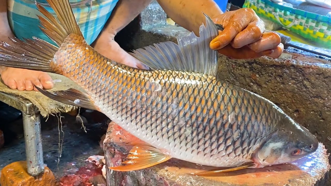Nice Cutting Skills | Small Rohu Fish Cutting Live In Bangladesh Fish ...