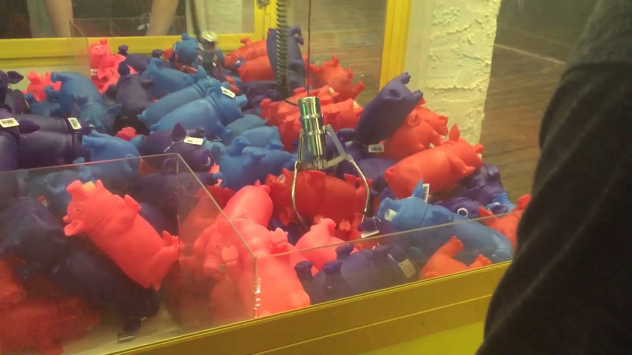 Winning Pigs?! - Claw Machine Wins - YouTube
