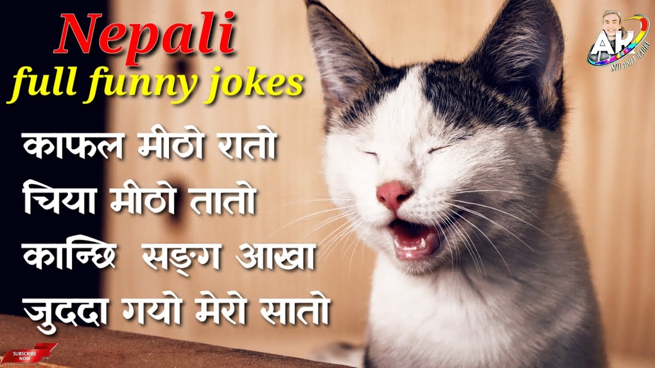 nepali full funny jokes | joke shayari Nepali | chudkila | mr amit ...
