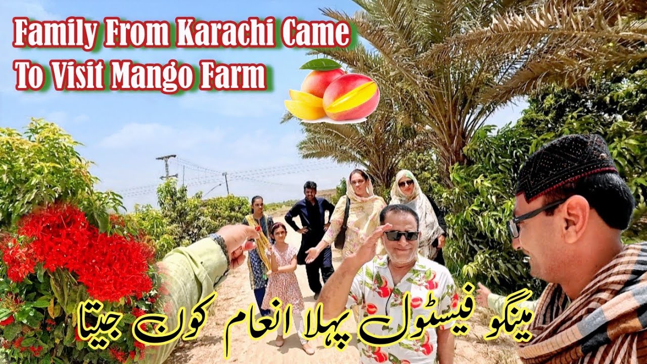 Family from Karachi to visit mango farm | First prize in Mango Festival ...