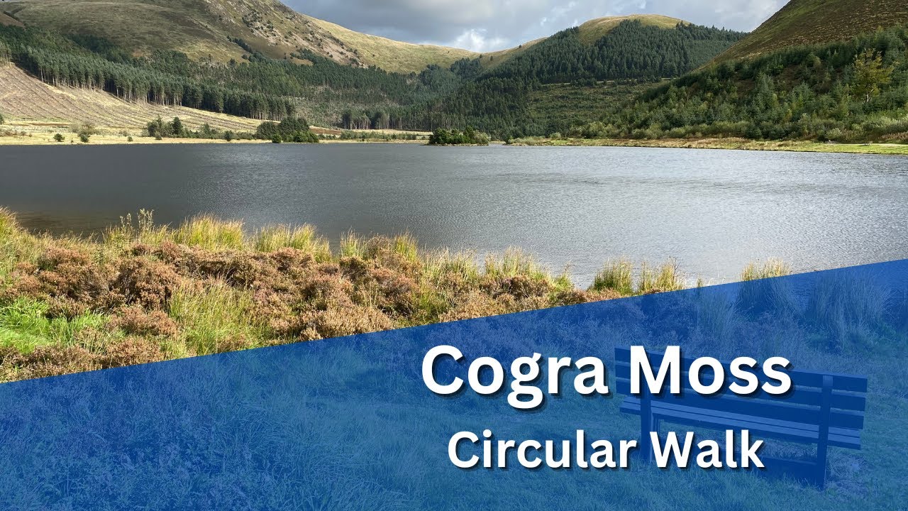 Cogra Moss - YouTube